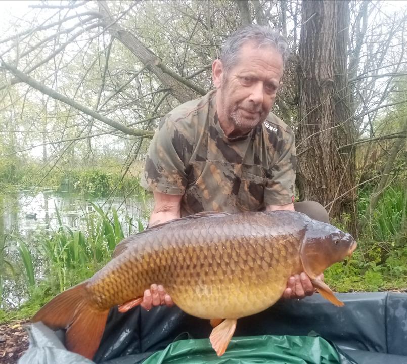 Pb common | Total Carp